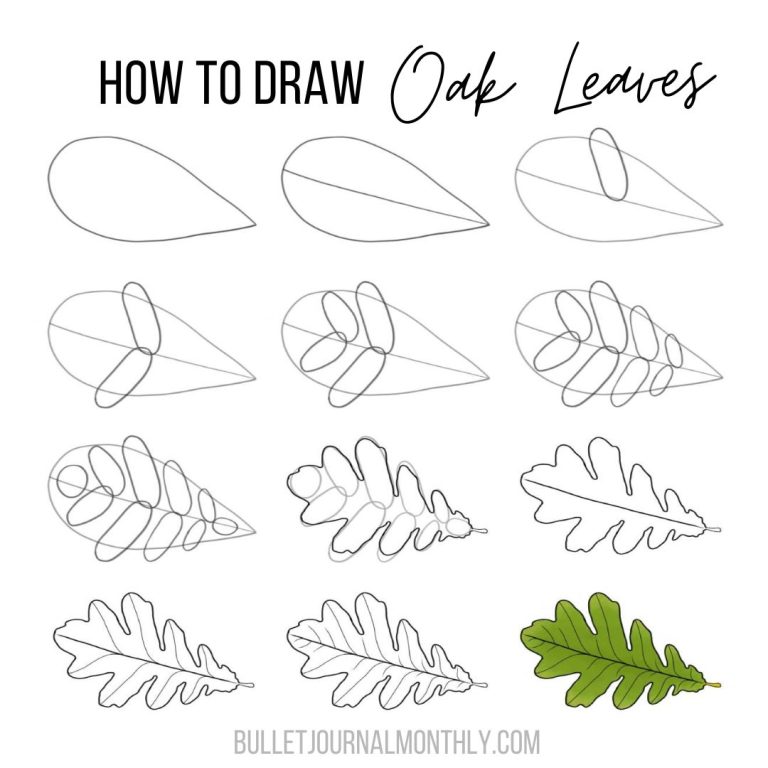 How to Draw Leaves - Easy Step by Step Tutorials - Bullet Journal Monthly