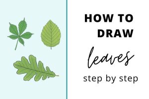 How to Draw Leaves - Easy Step by Step Tutorials - Bullet Journal Monthly