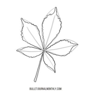 How to Draw Leaves - Easy Step by Step Tutorials - Bullet Journal Monthly
