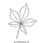 How to Draw Leaves - Easy Step by Step Tutorials - Bullet Journal Monthly