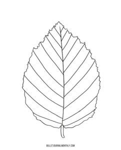 How to Draw Leaves - Easy Step by Step Tutorials - Bullet Journal Monthly