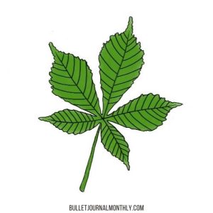 How to Draw Leaves - Easy Step by Step Tutorials - Bullet Journal Monthly